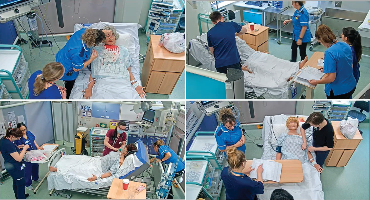 Sim Courses